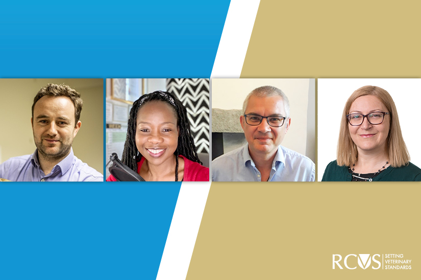 RCVS announces successful candidates in this year’s RCVS Council and VN ...